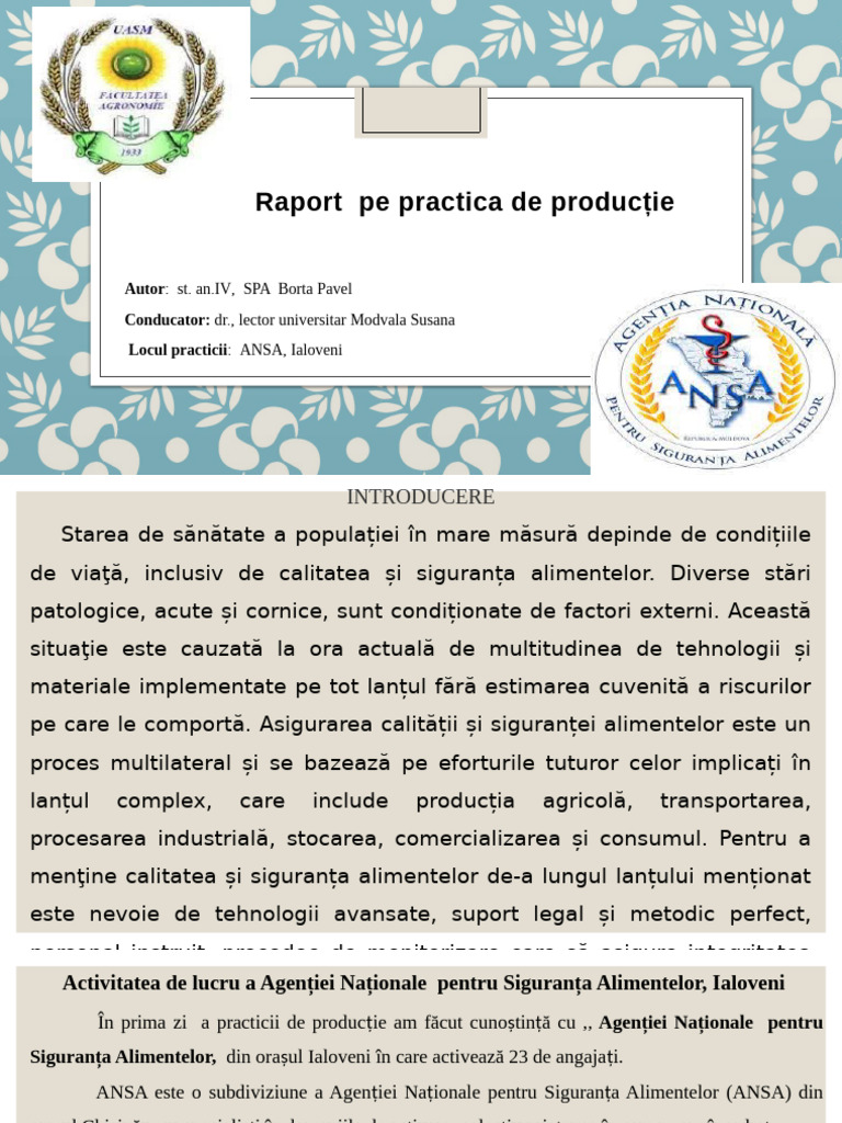 Raport Practica de Productie | PDF