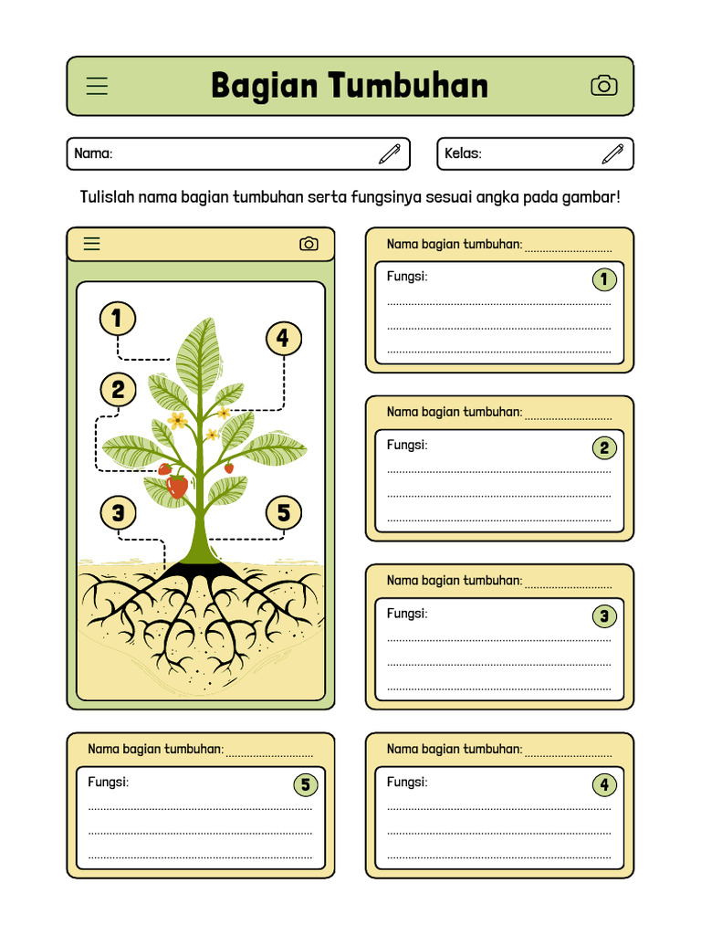 Bagian Tumbuhan Lembar Kerja Pendidikan IPAS Kuning Hijau Garis ...