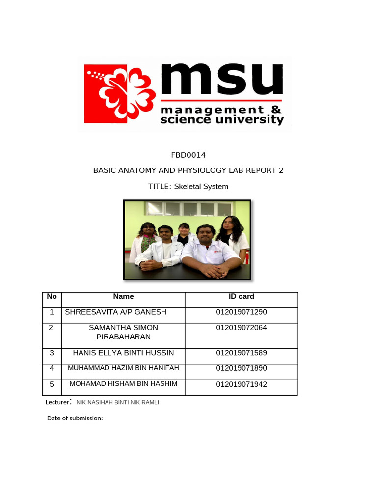 Lab Anatomy 2 Skeletal System (Hanis's Group) | PDF