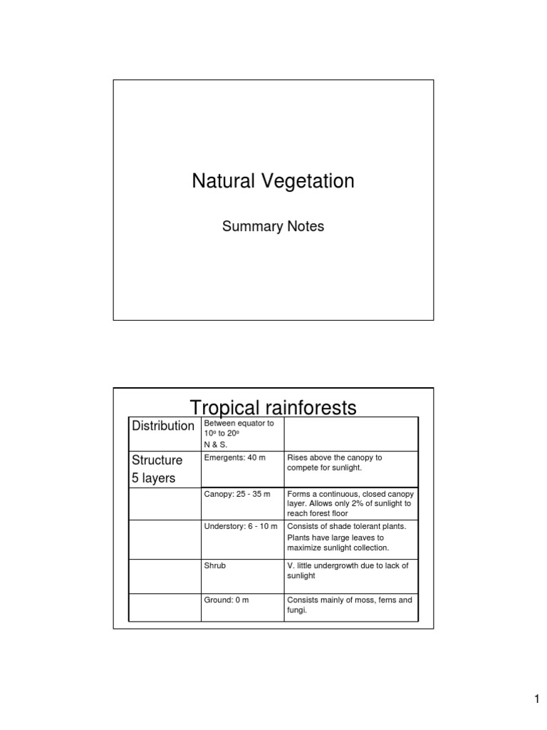 Natural Vegetation: Summary Notes | PDF | Trees | Rainforest