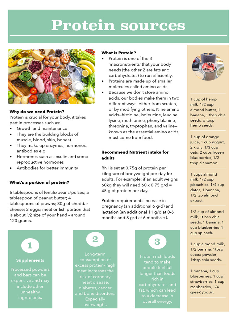 18. Protein handout | PDF