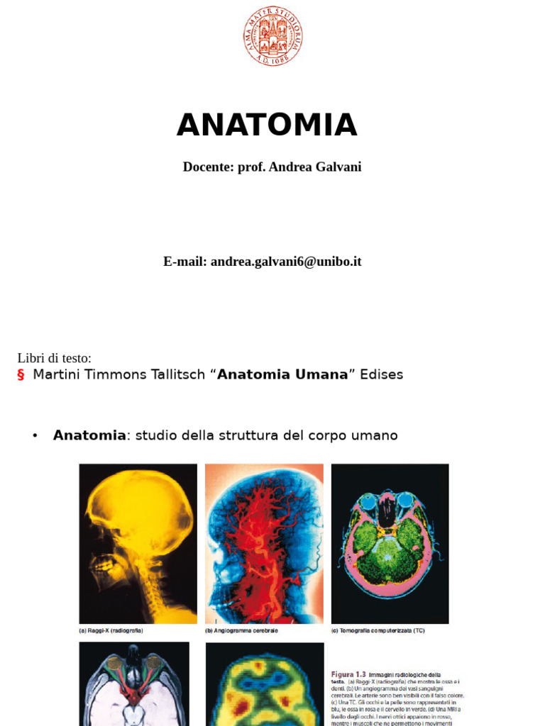 Lezione 1 Gen Locomotore | PDF