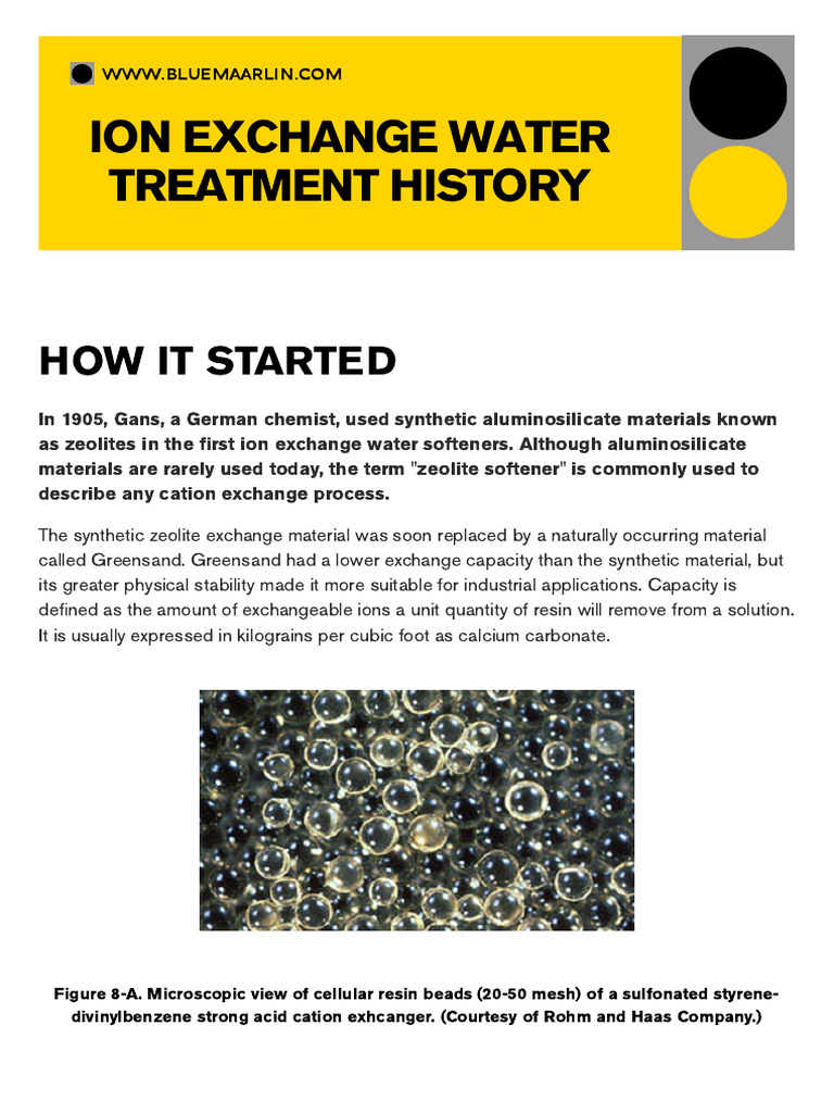 History Ion Exchange Resin - 8 | PDF | Ion Exchange | Science & Mathematics