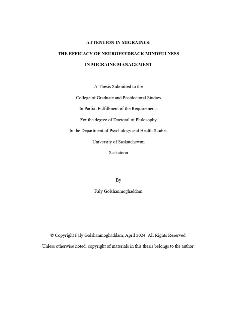 Golshanmoghaddam Dissertation 2024 | PDF