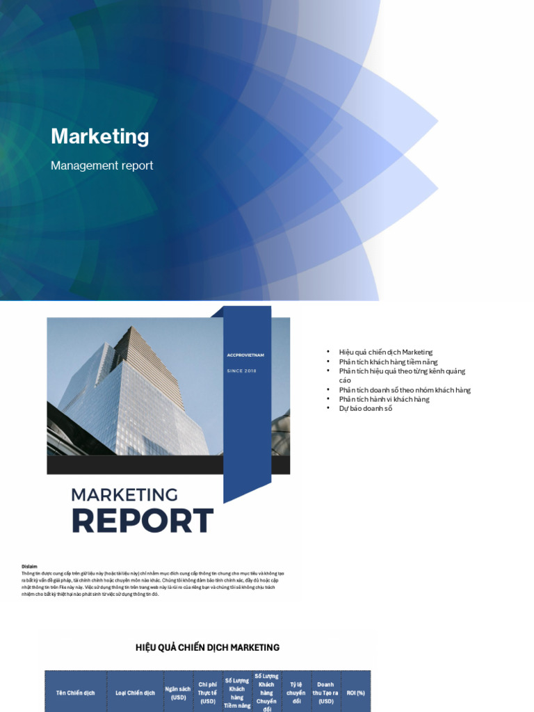Marketing Management Report | PDF