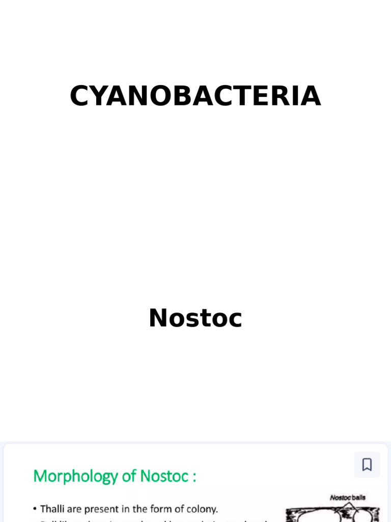 Cyanobacteria (Nostoc, Anabaena, Oscillatoria) | PDF
