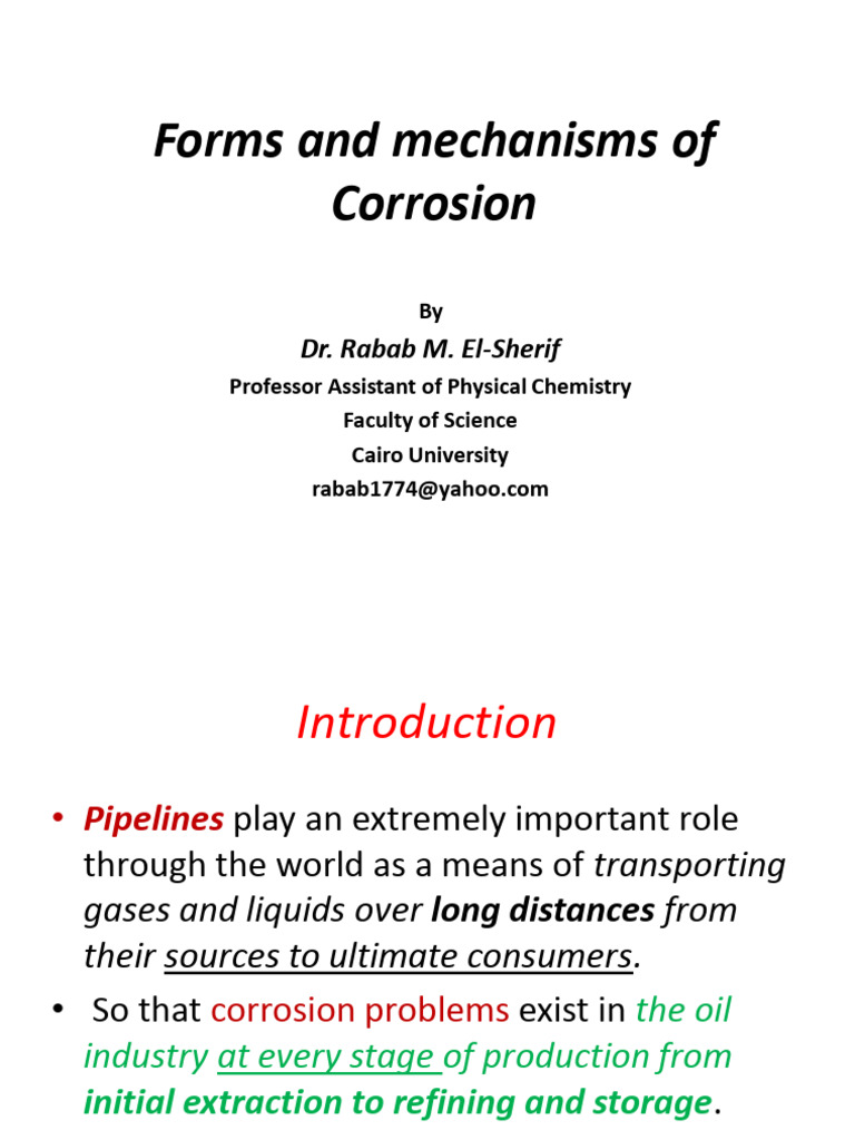 Rabab El Sherif DR | PDF