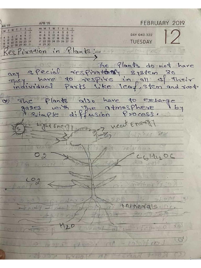 Biology Chapter 1 | PDF