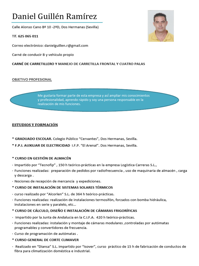 CV Daniel Guillén Ramírez | PDF