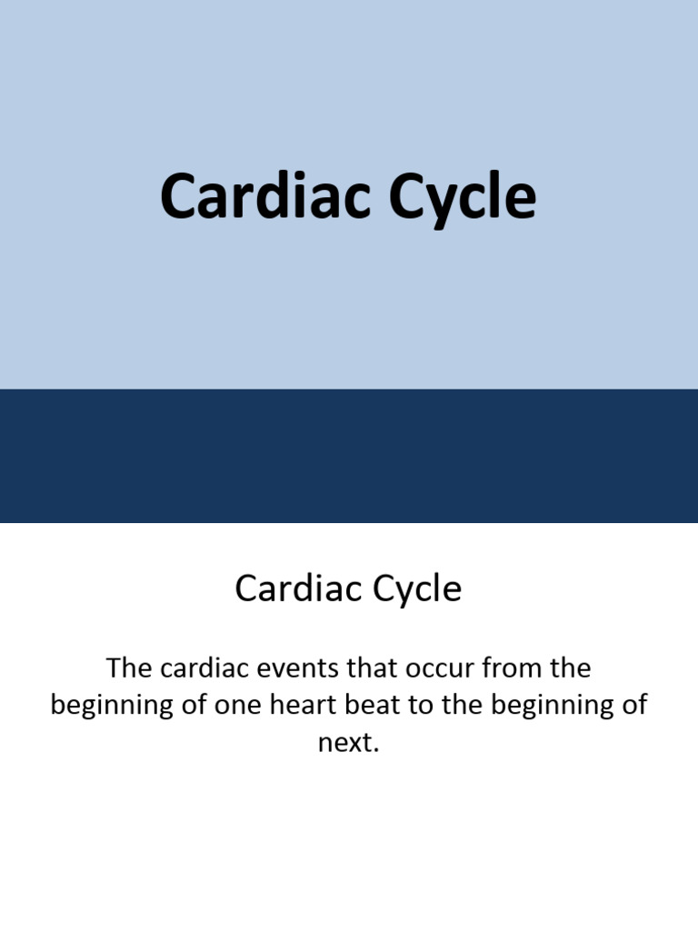 Cardiac Cycle | PDF