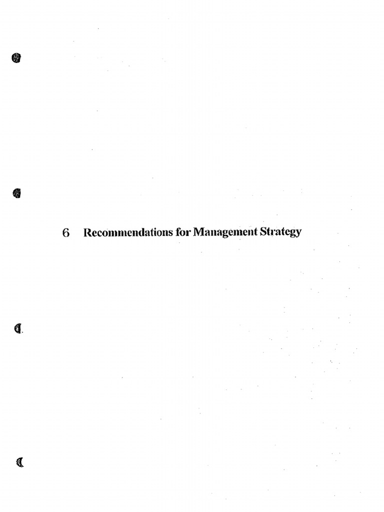 Engines Strategy | PDF