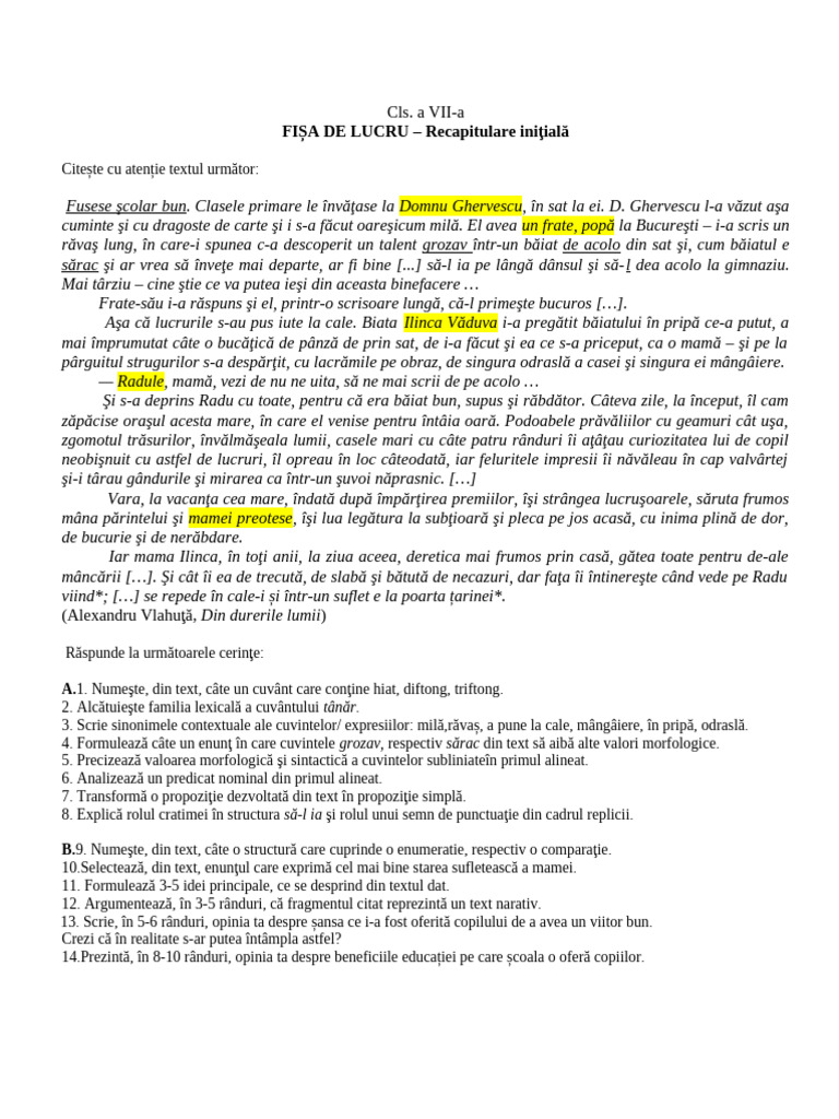 Fisa de Recapitulare Initiala Clasa A Viia | PDF