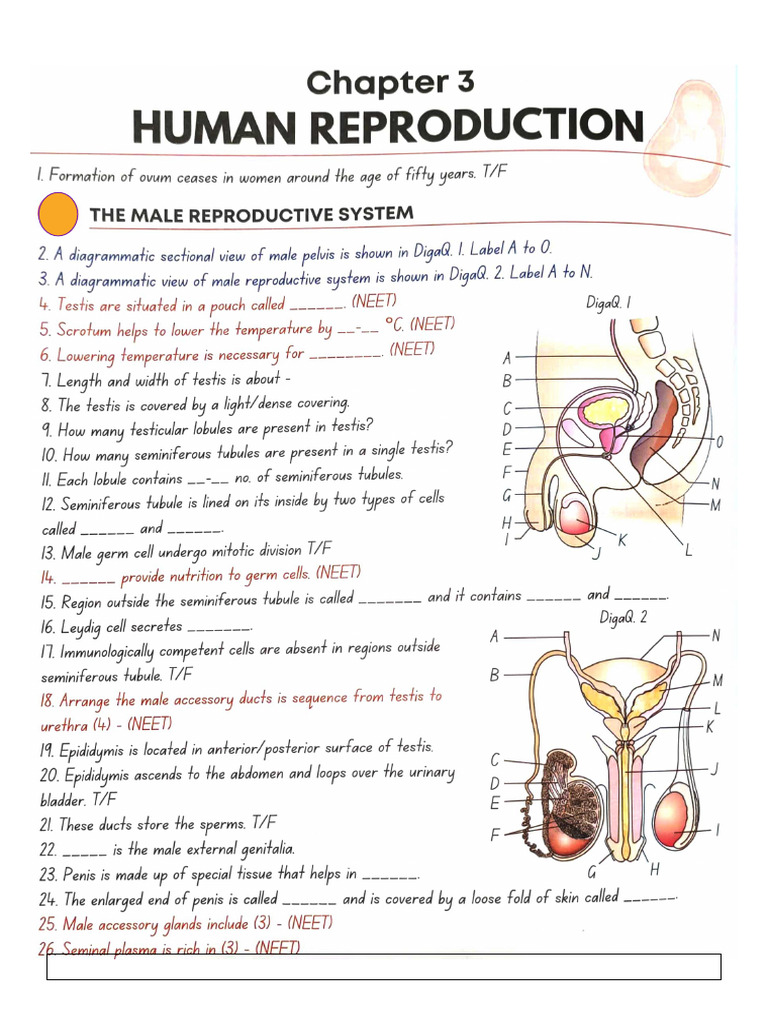 Human Reproduction | PDF