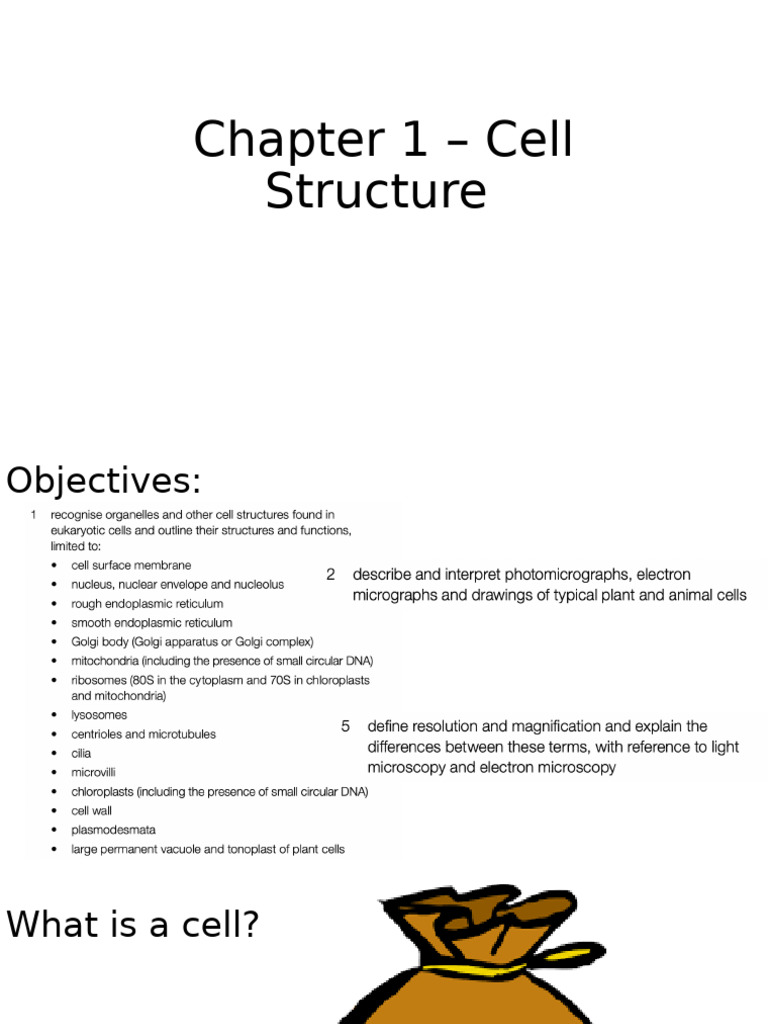 Chapter 1 - Cell Structure | PDF