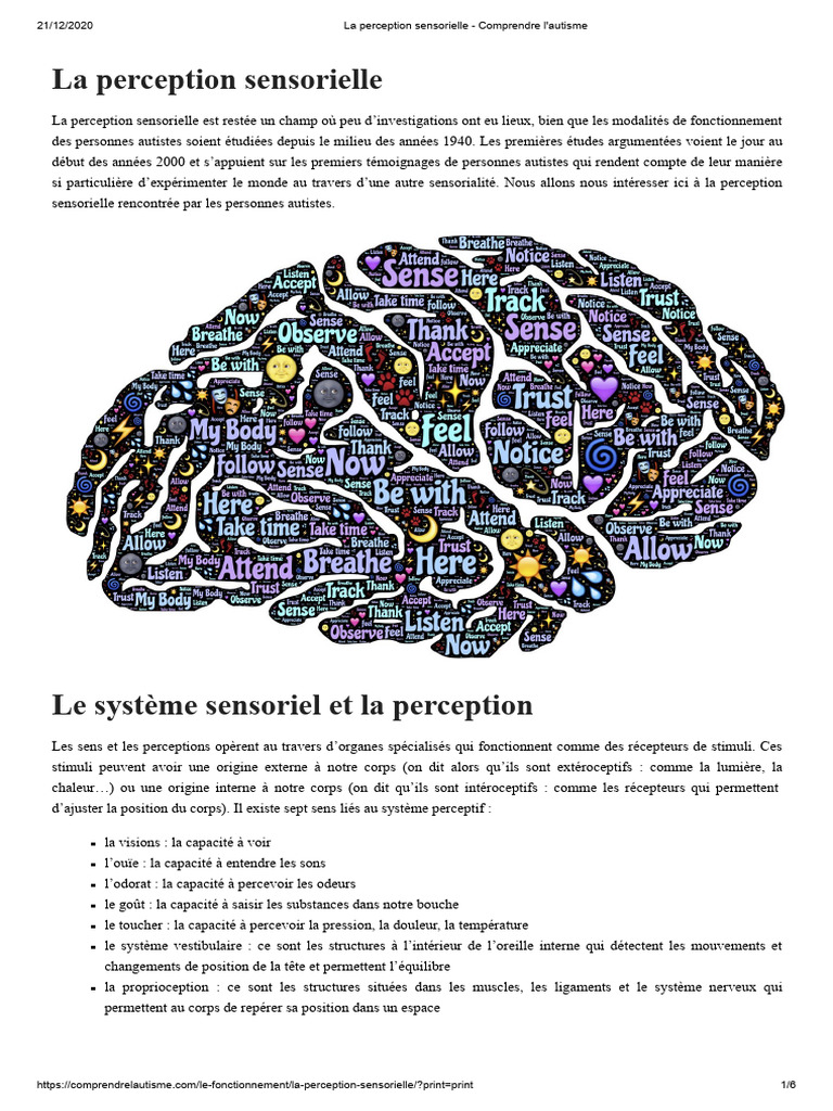 La Perception Sensorielle - Comprendre L'autisme | PDF