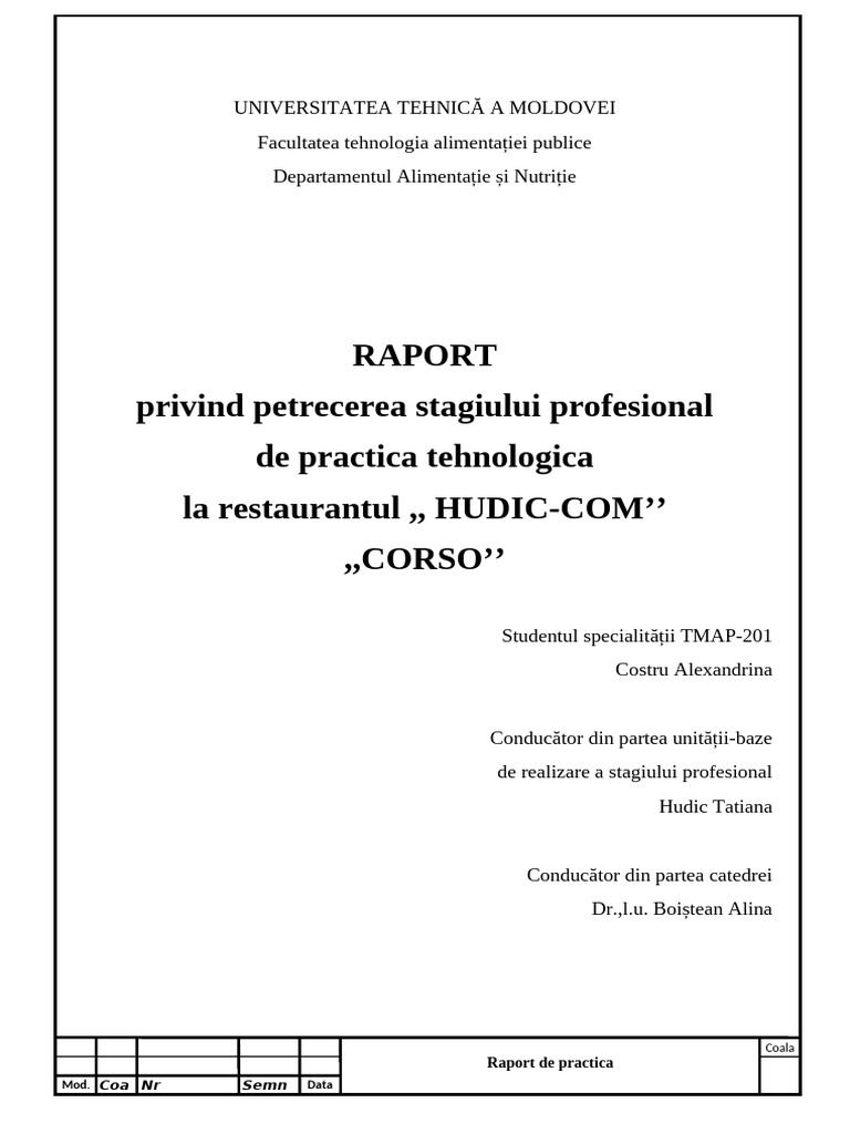 Raport Practica | PDF