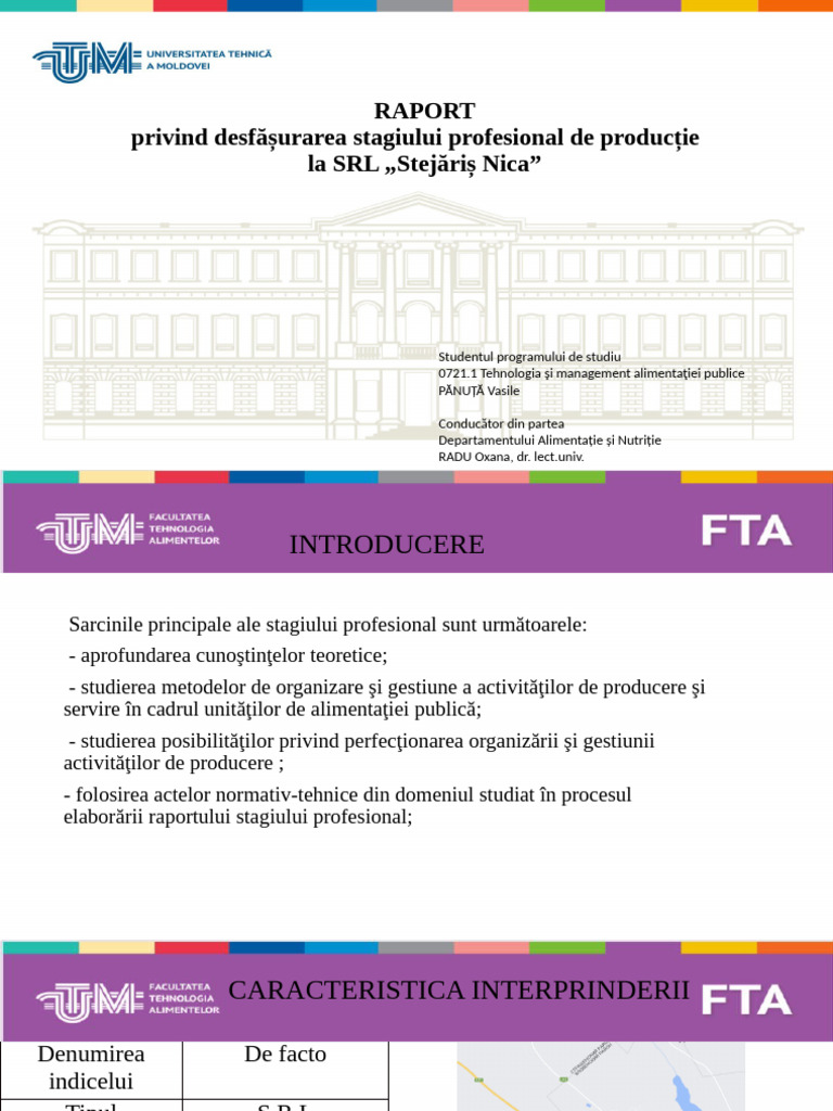 Raport Practica | PDF