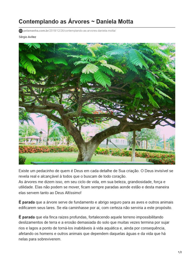 Contemplando As Árvores Daniela Motta | PDF