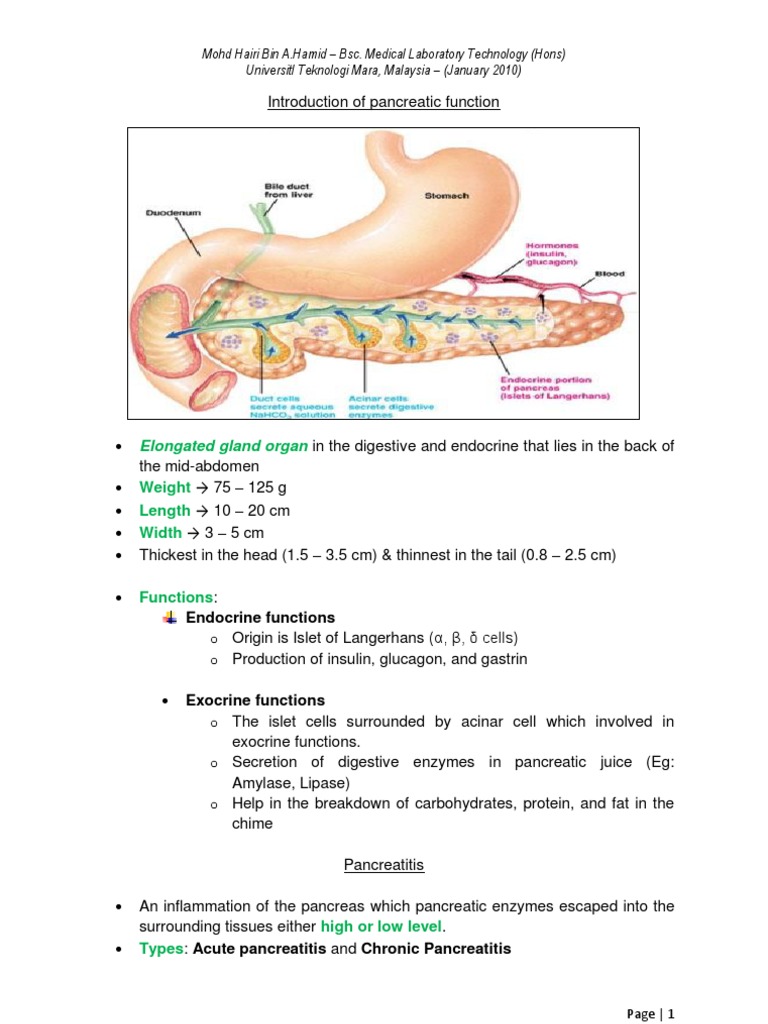 Pancreatic Function Test | PDF | Pancreas | Gel Electrophoresis