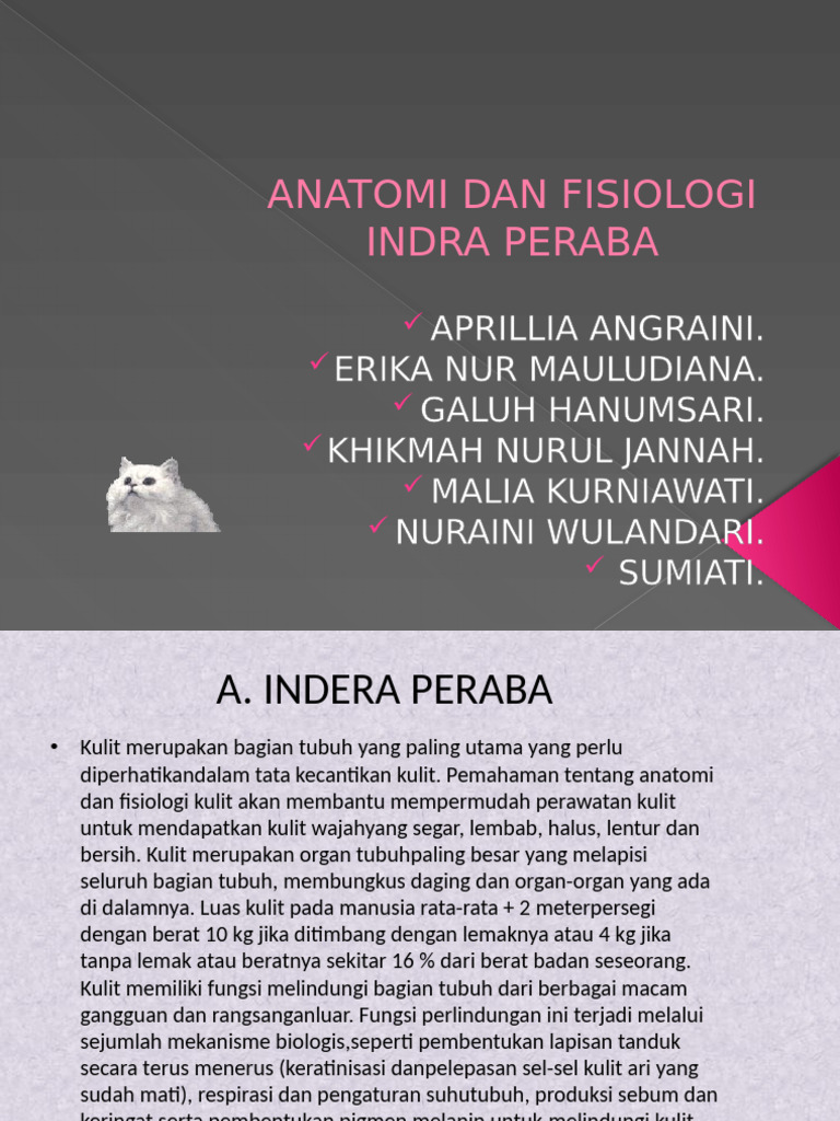 Anatomi Dan Fisiologi Indra Peraba | PDF