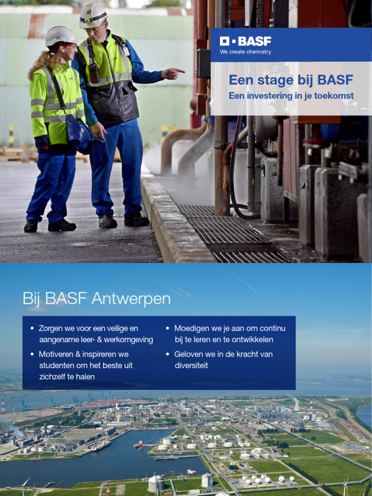 Brochure Stage Bij BASF - Ivanhoe | PDF