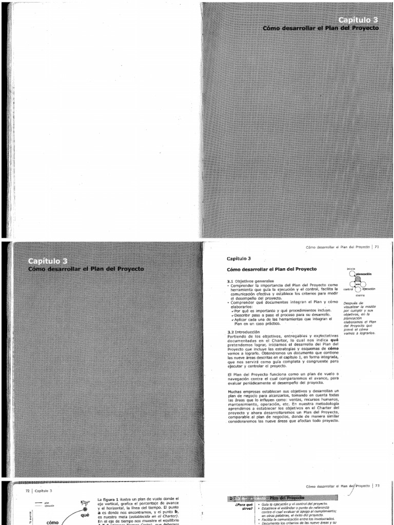 Admon Profesional Proyectos La Guia 34 48 | PDF