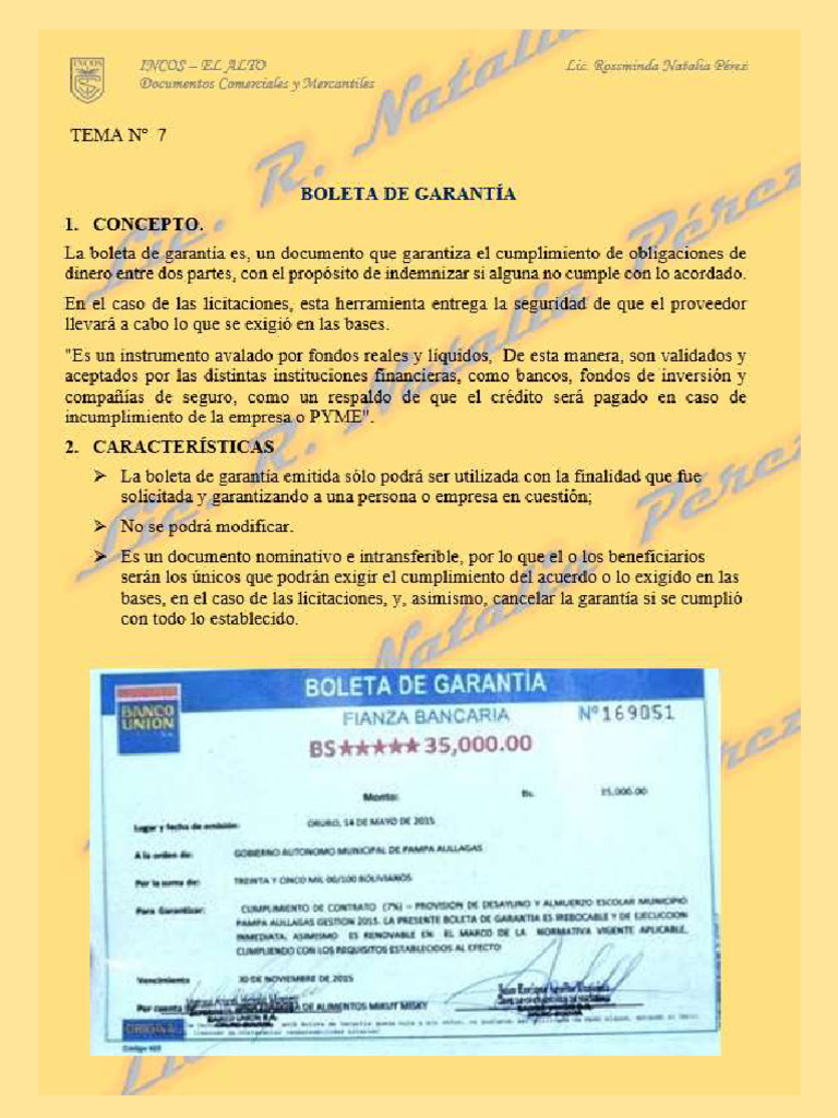 Tema 7 Boleta de Garantia | PDF