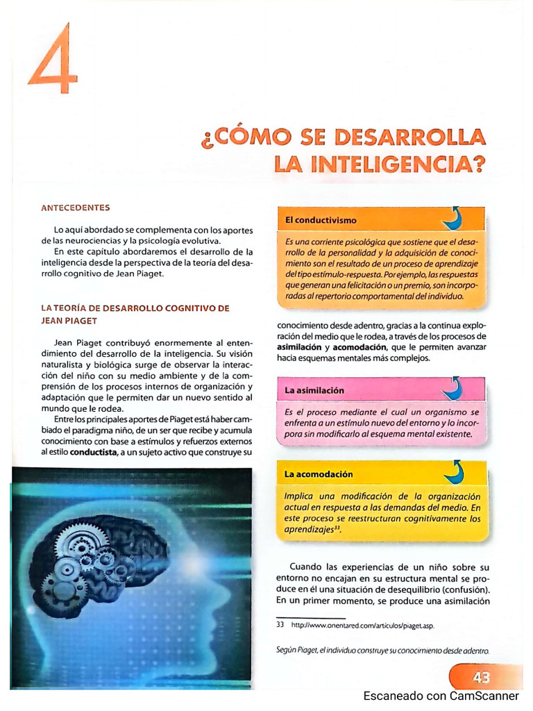 Act. Cómo se desarrolla la inteligencia | PDF