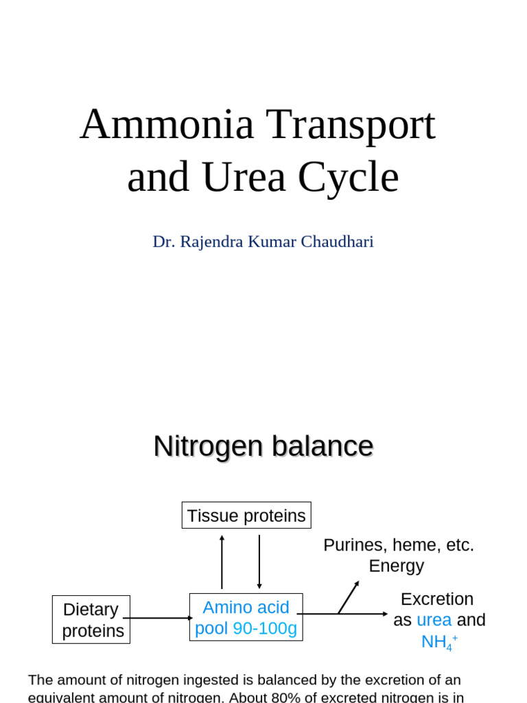 Ammonia Transport and Urea Cycle MBBS 2014 | PDF | Arginine | Science ...