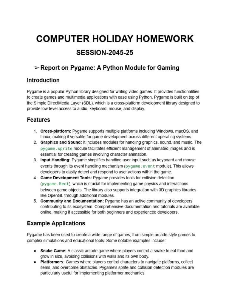 Computer Holiday Homework | PDF