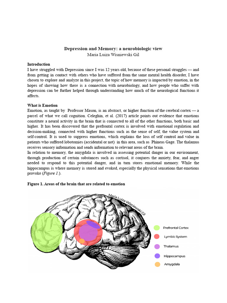 Final Project - Depression and Memory - A Neurobiologic View - Gil-2023 ...