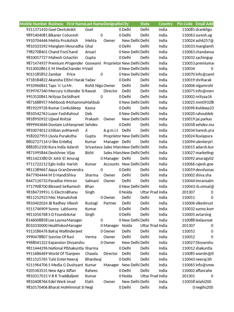 Sample Delhi Noida Business Person WF - Data | PDF