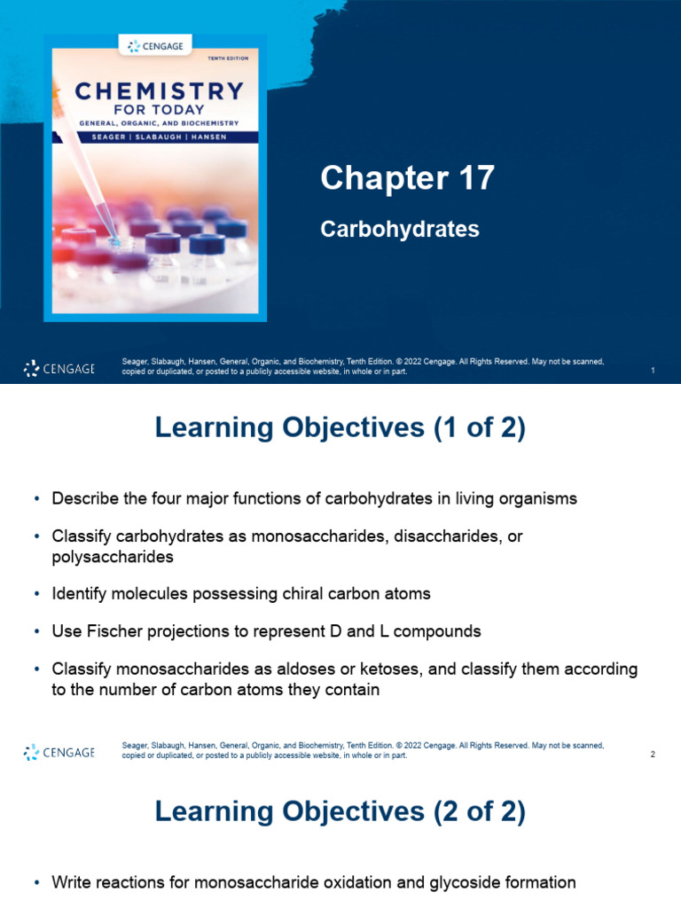 CARBOSeager 10e Ch17 | PDF