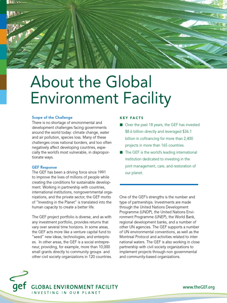 GEF Fact Sheets June09 3 | PDF | Global Environment Facility | Climate ...