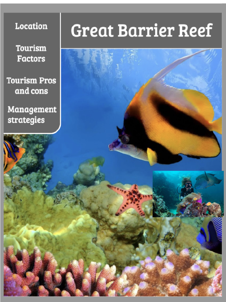 Great barrier reef | PDF