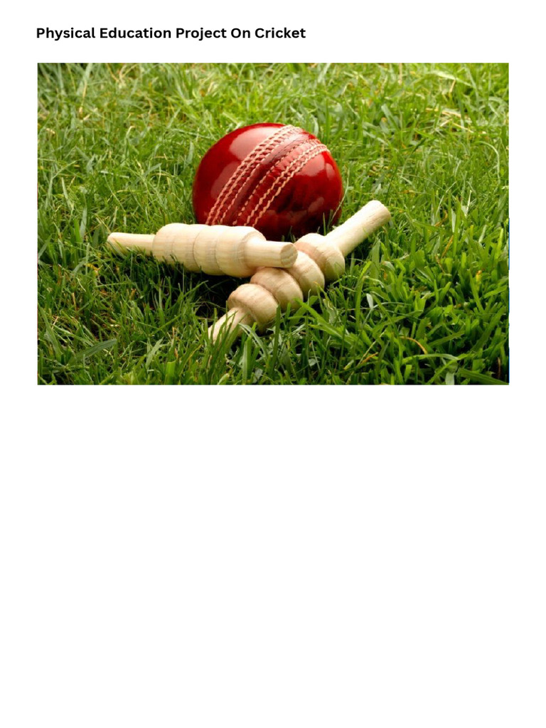 Physical Education Project On Cricket PDF | PDF