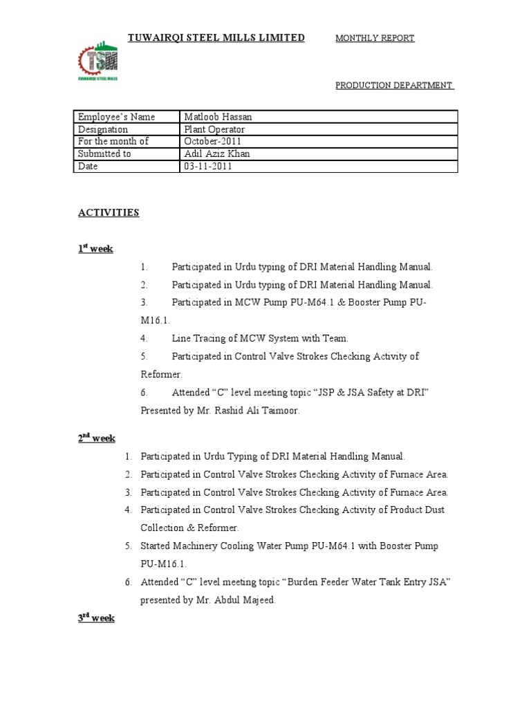 Monthly Report Format (October-2011) | PDF