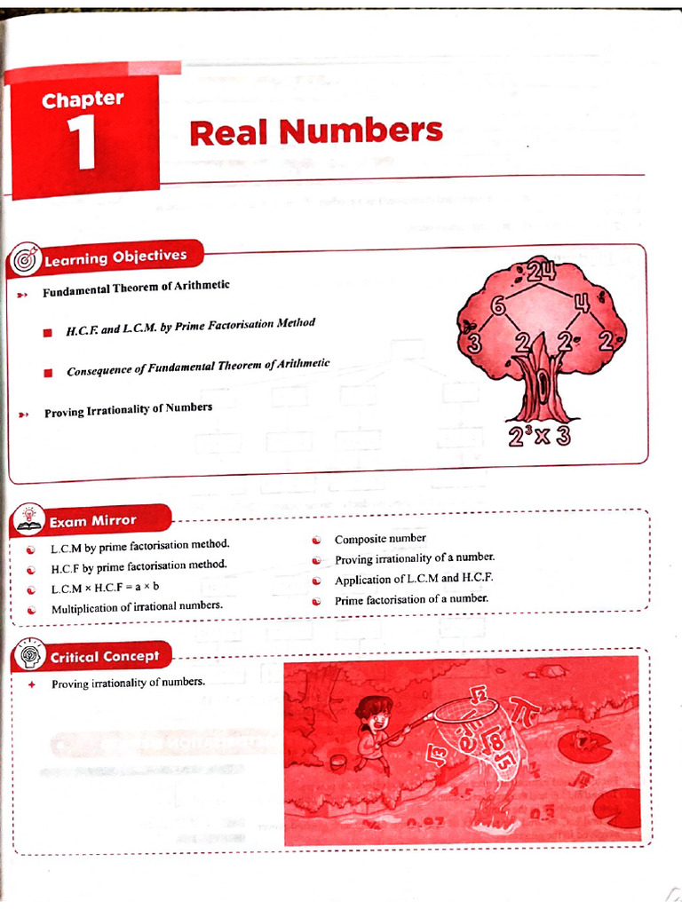 Real Numbers | PDF