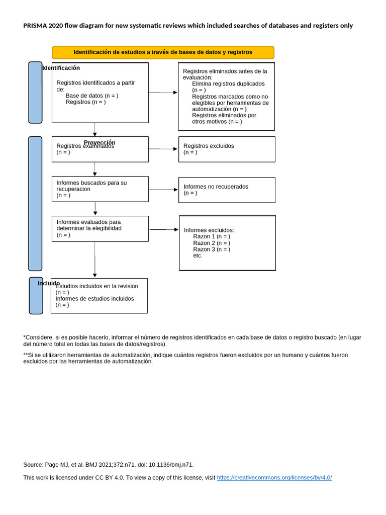 Prisma Diagrama | PDF