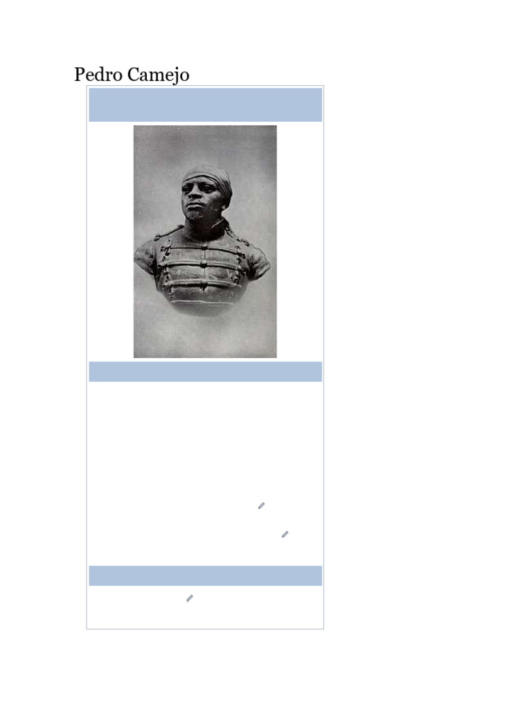 Pedro Camejo | PDF | Deportes y actividades al aire libre