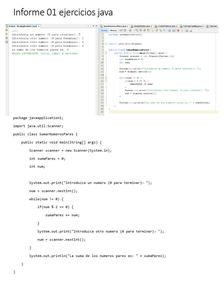 Informe 1 Java | PDF