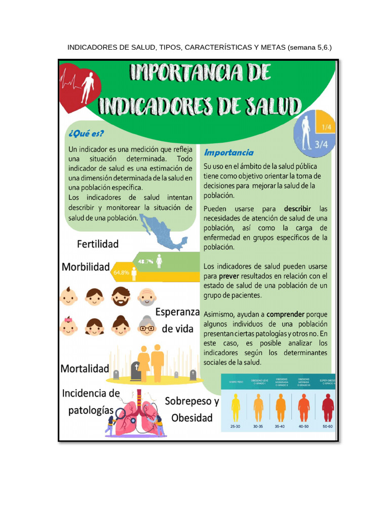 Indicadores de Salud, Tipos, Caracteristicas, Metas. Epidemiologia | PDF