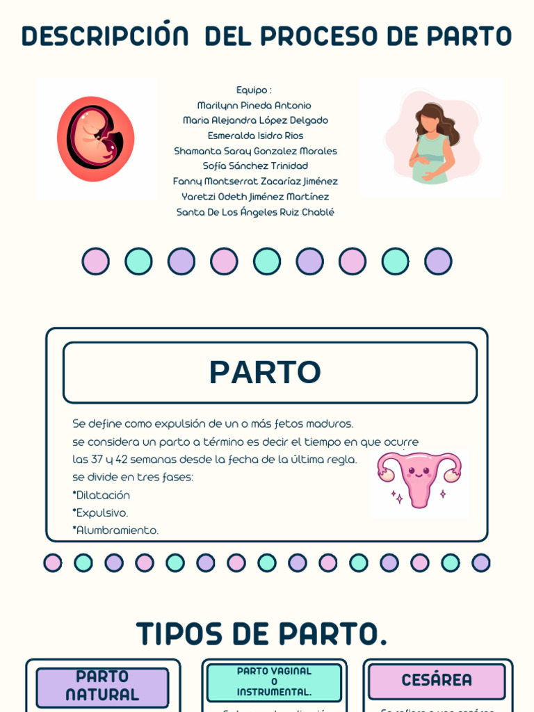 Descripción Del Proceso de Parto - 20240910 - 225514 - 0000 | PDF ...