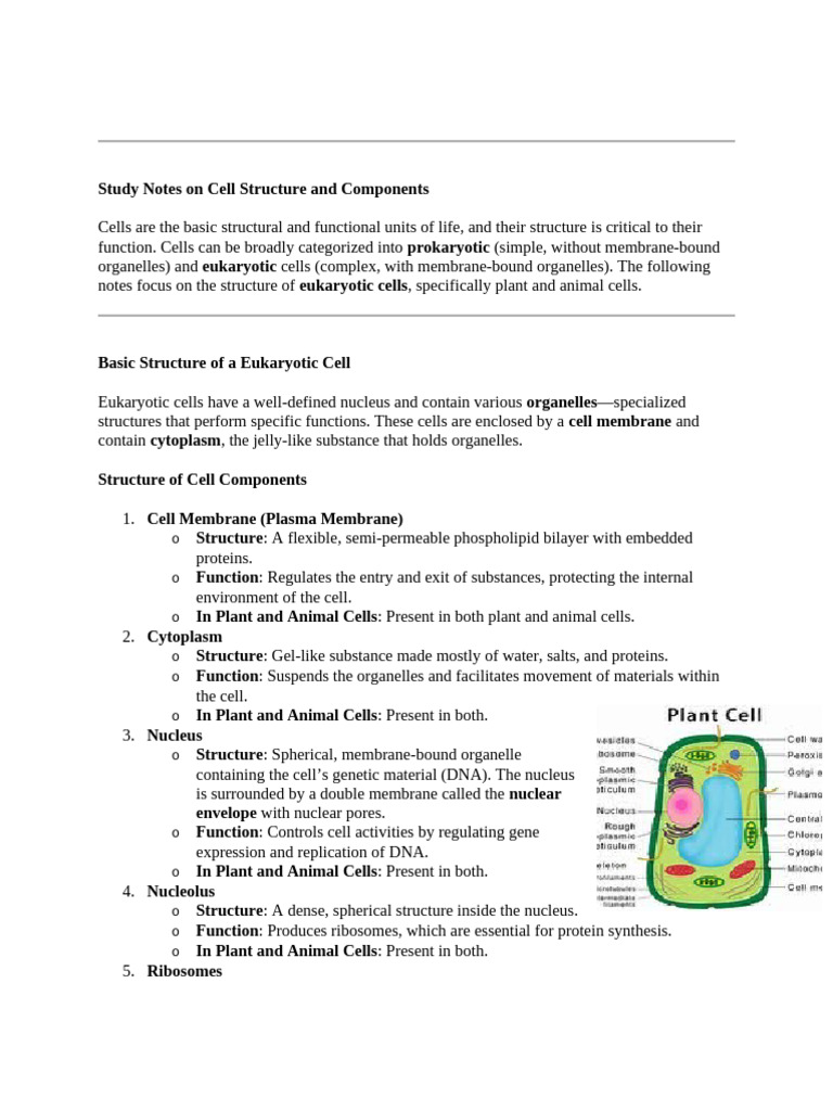 Cell Structure and Components | PDF