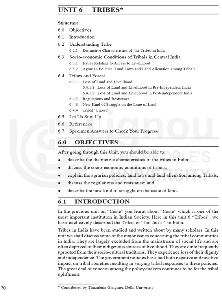 Tribes Problems | PDF