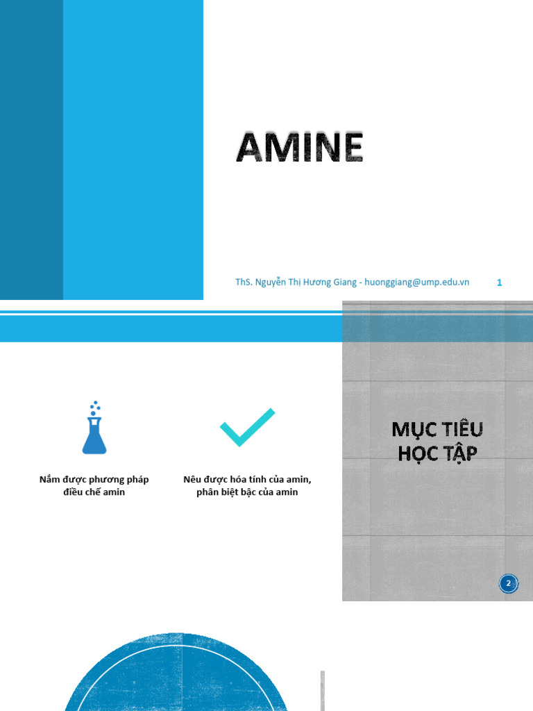 Amine 2024 | PDF