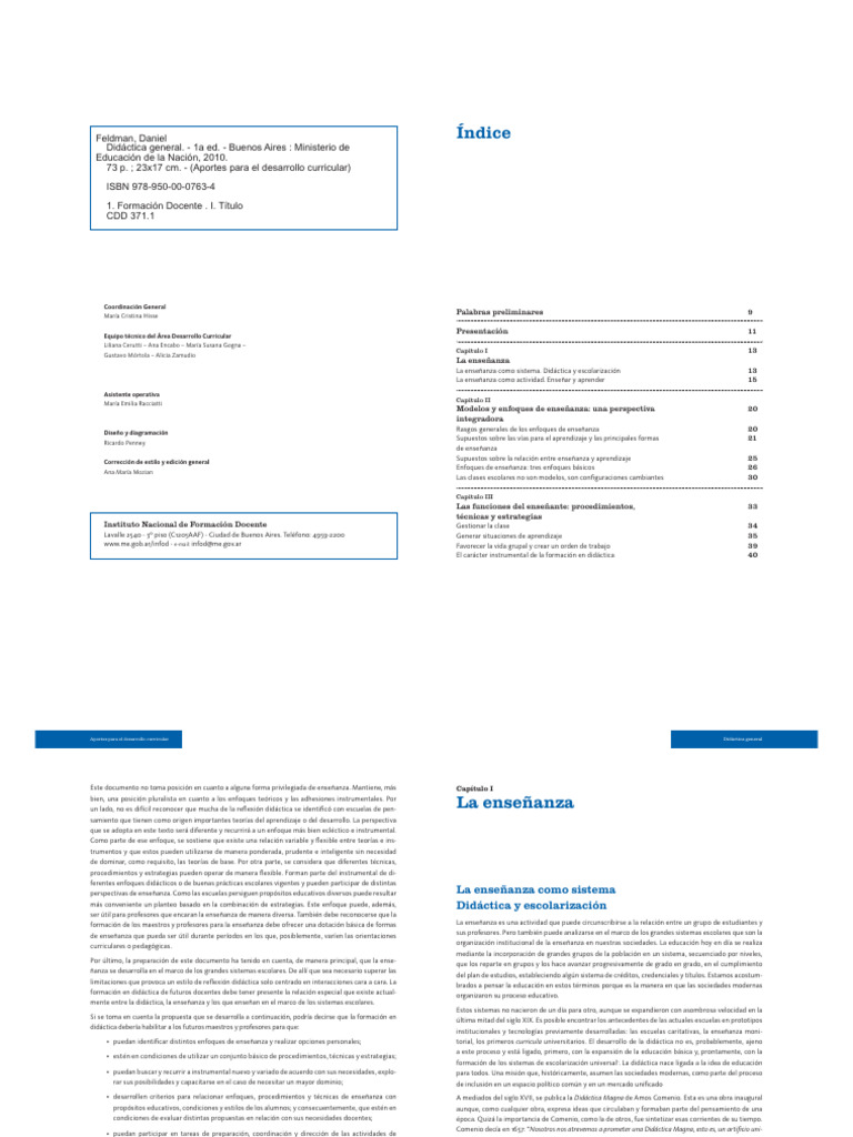 Feldman-Didáctica general | PDF