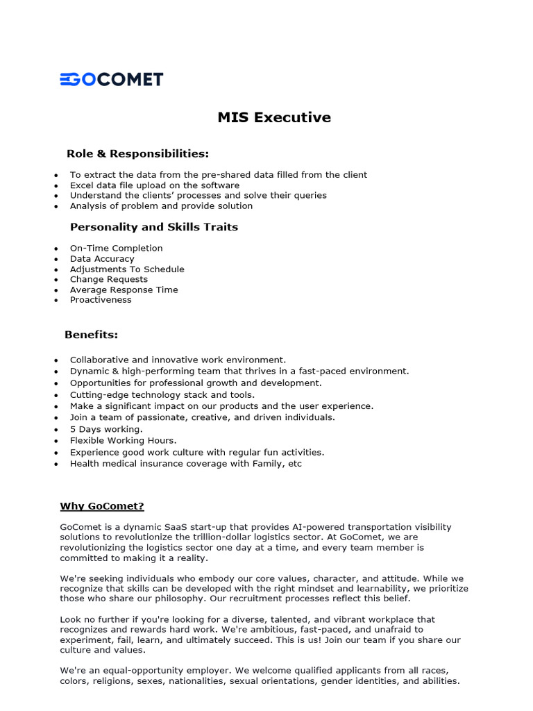 MIS Executive-Job Description | PDF