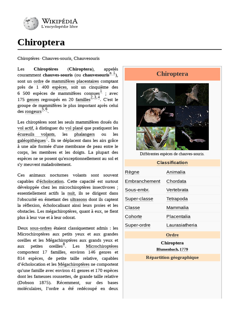 Chiroptera | PDF