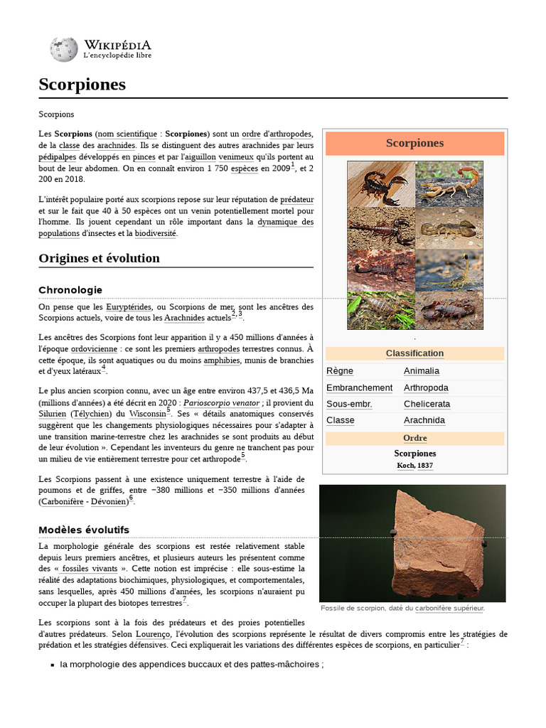Scorpion Es | PDF